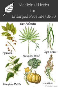 Medicinal Herbs for Enlarged Prostate (BPH) - Relief and Treatment