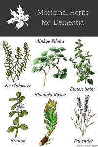 Dementia - Promising Herbs with Supportive Information as a Treatment